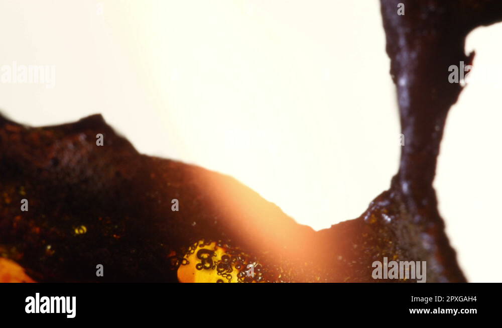 Film scratch Stock Videos & Footage - HD and 4K Video Clips - Alamy