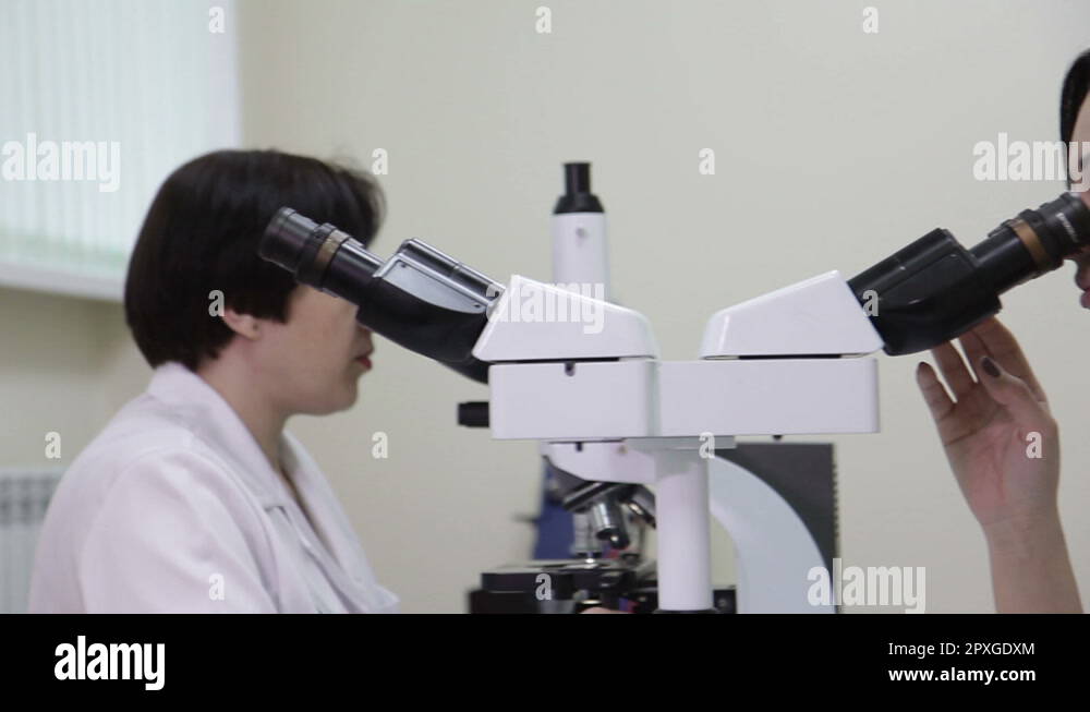 histological and histopathological laboratory in work: dual microscope ...