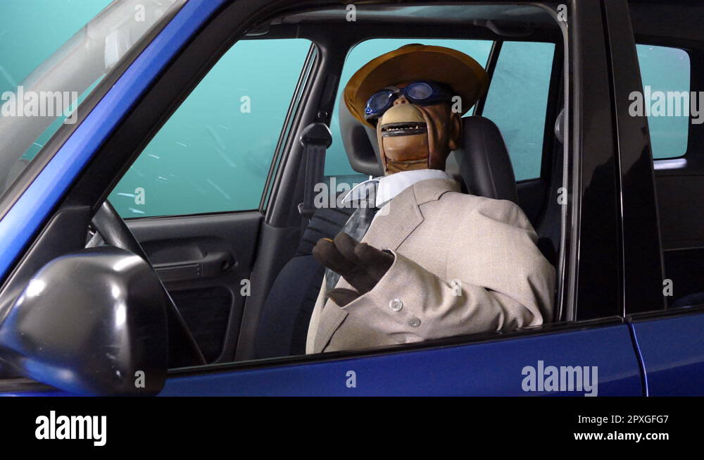 Monkey driver Stock Videos & Footage - HD and 4K Video Clips - Alamy