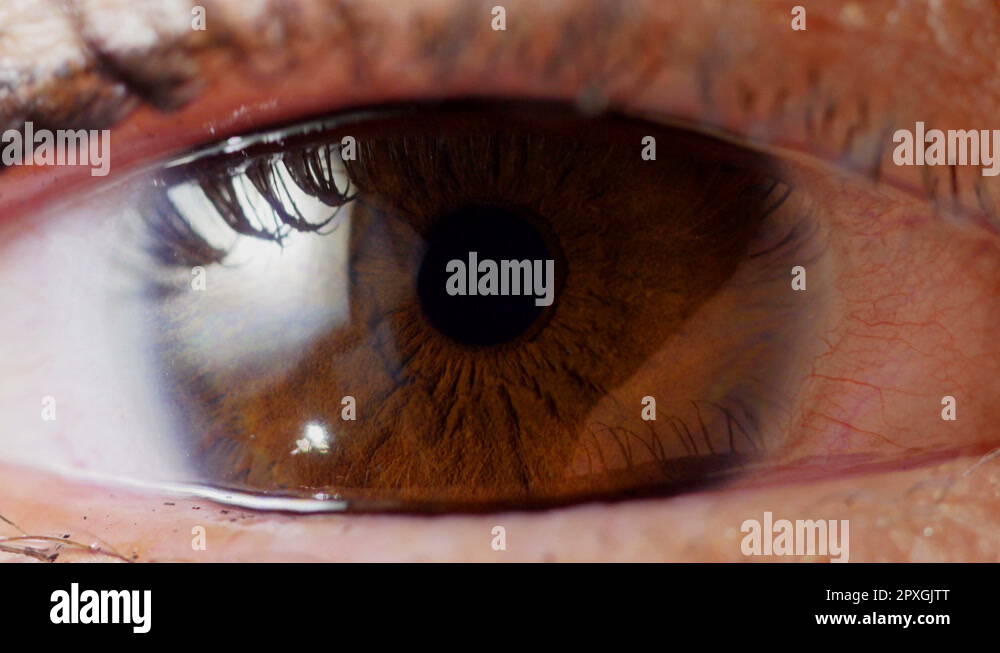 Extreme close up human eye iris Stock Video Footage - Alamy