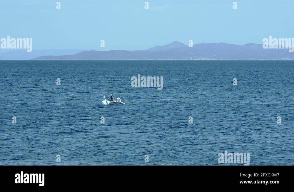 Catching sea boat fish Stock Videos & Footage - HD and 4K Video Clips ...