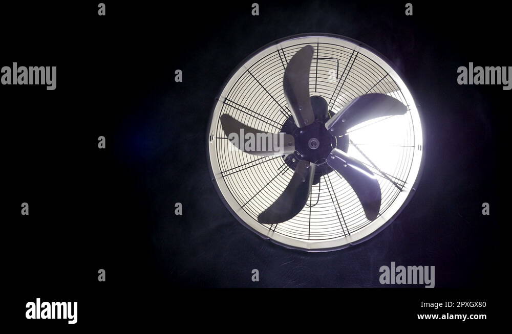 Fan palette Stock Videos & Footage - HD and 4K Video Clips - Alamy