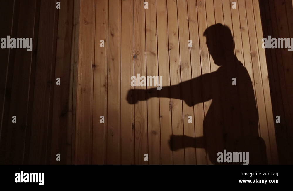 Karate shadow Stock Videos & Footage - HD and 4K Video Clips - Alamy