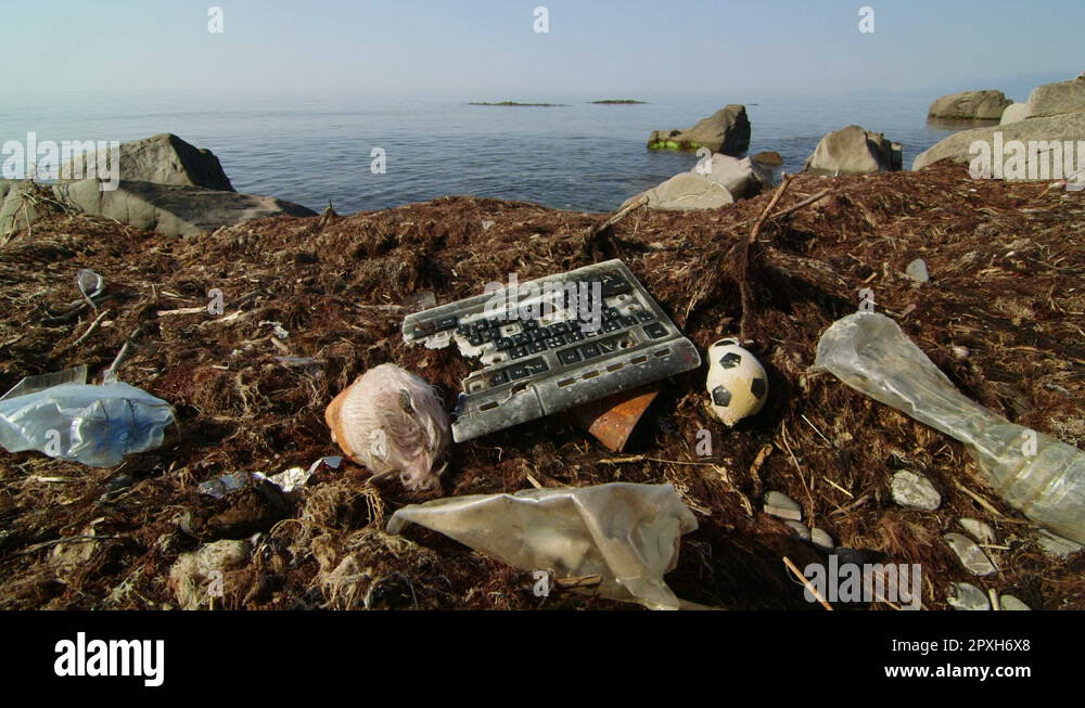 Shore and plastic pollution Stock Videos & Footage - HD and 4K Video ...