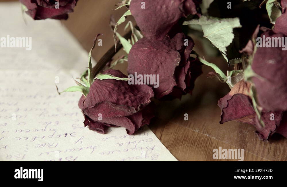 Faded handwriting Stock Videos & Footage - HD and 4K Video Clips - Alamy