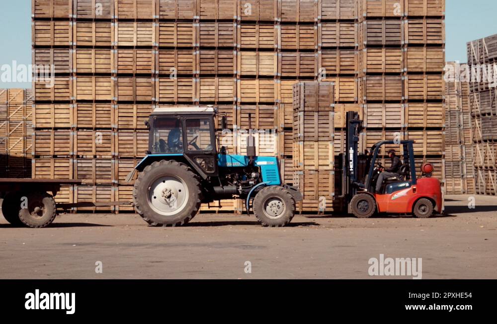 Vegetable stock. loader load boxes on tractor Stock Video Footage - Alamy