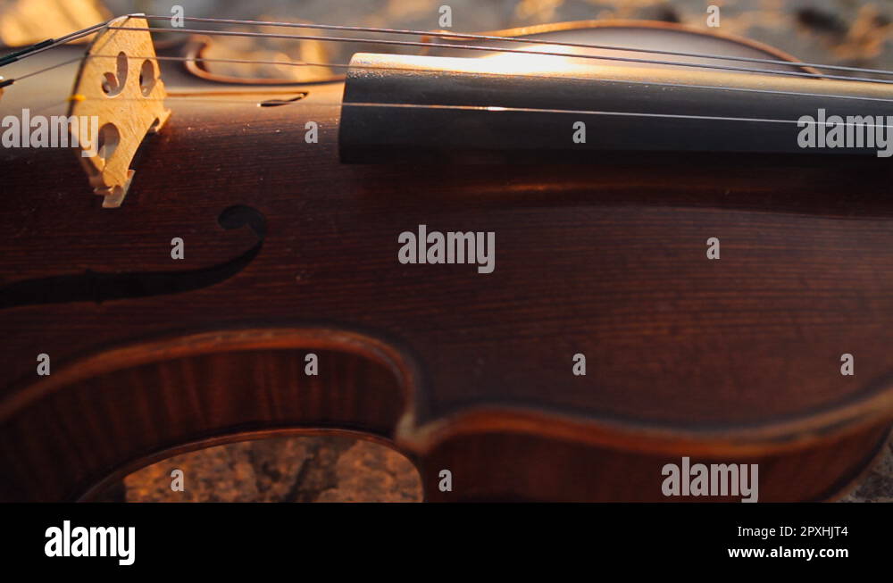 Violin rock Stock Videos & Footage - HD and 4K Video Clips - Alamy