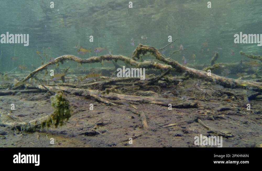 Locked downshot Stock Videos & Footage - HD and 4K Video Clips - Alamy