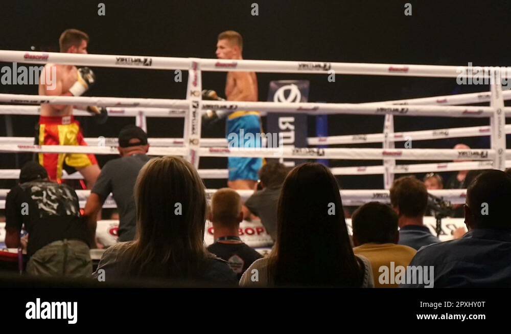 Boxing knockdown Stock Videos & Footage - HD and 4K Video Clips - Alamy