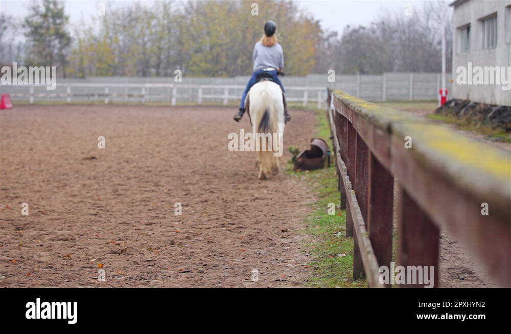 Riding crop horse Stock Videos & Footage - HD and 4K Video Clips - Alamy