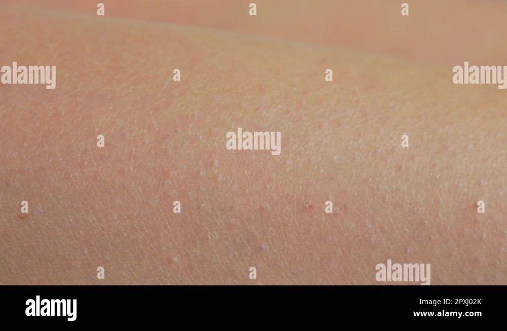 Legs close up human body Stock Videos & Footage - HD and 4K Video Clips ...