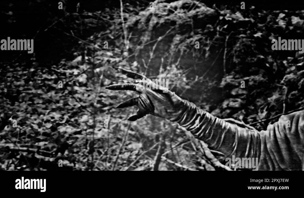 Creepyhand Stock Videos & Footage - HD and 4K Video Clips - Alamy