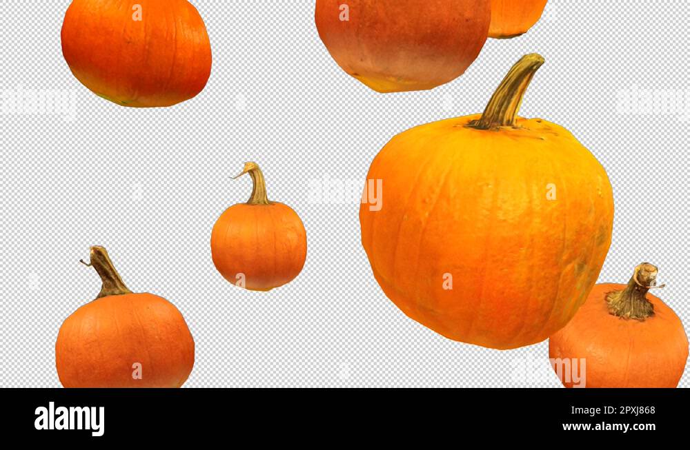 Png Stock Videos & Footage - HD and 4K Video Clips - Alamy