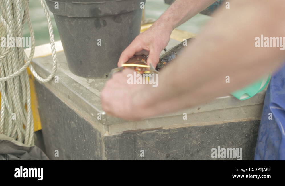 Lobster pot and fishing boat detail Stock Videos & Footage - HD and 4K ...