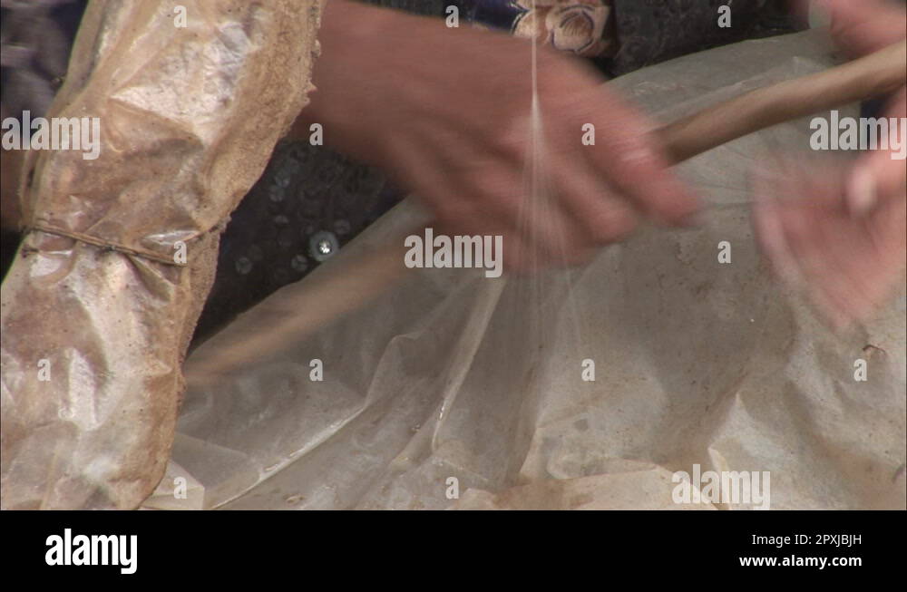 Chinese women workers Stock Videos & Footage - HD and 4K Video Clips ...