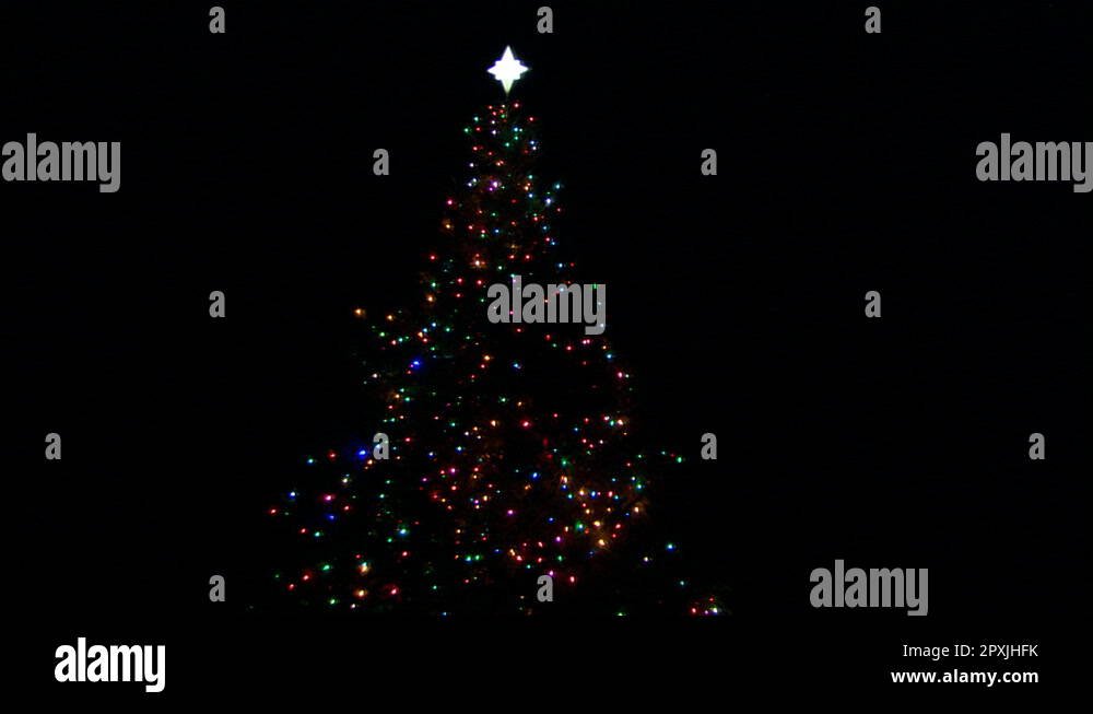 Outdoor lighted christmas tree Stock Videos & Footage - HD and 4K Video ...