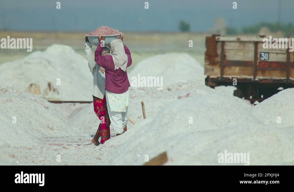 Salt field indian Stock Videos & Footage - HD and 4K Video Clips - Alamy
