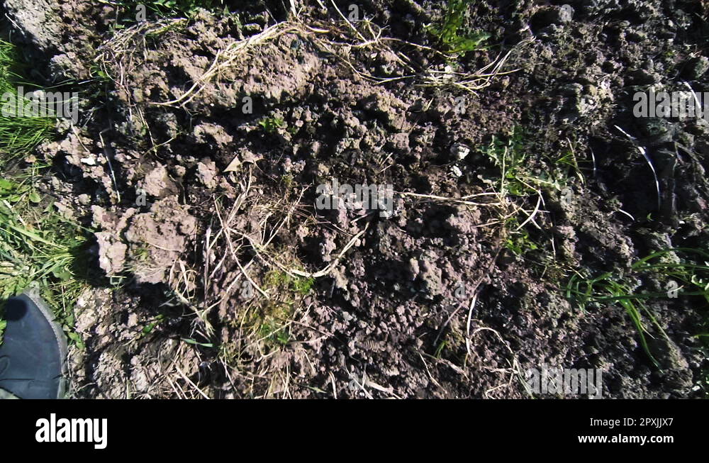 Tilled soil texture Stock Videos & Footage - HD and 4K Video Clips - Alamy