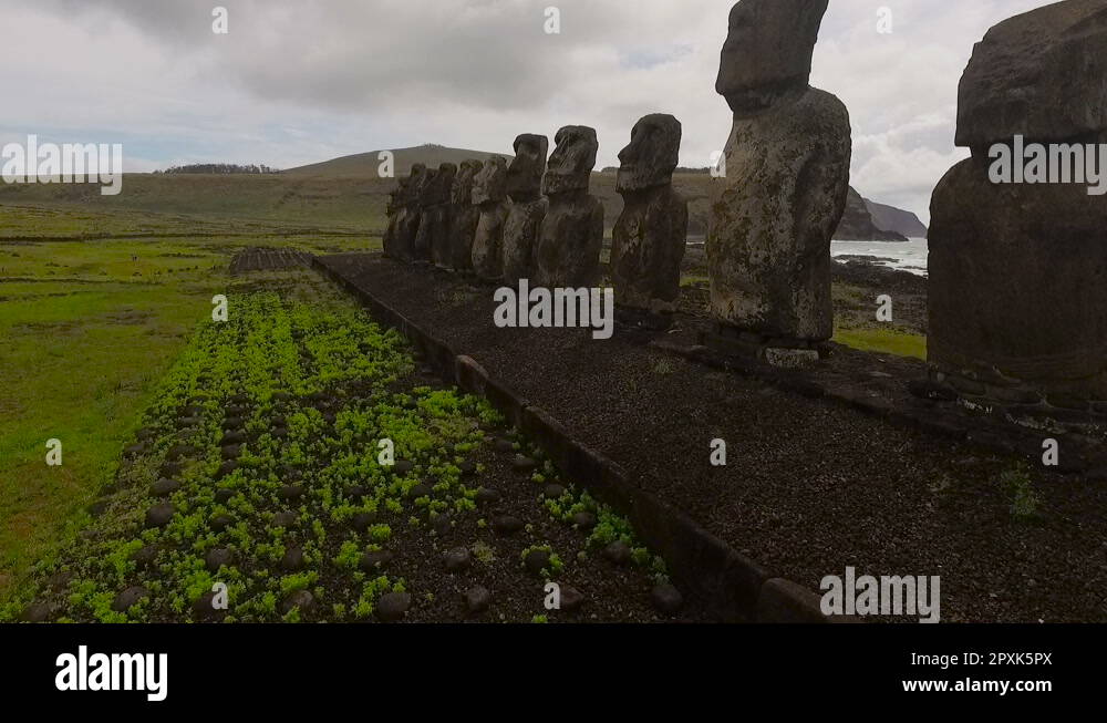 Maori sacred sculpture Stock Videos & Footage - HD and 4K Video Clips ...