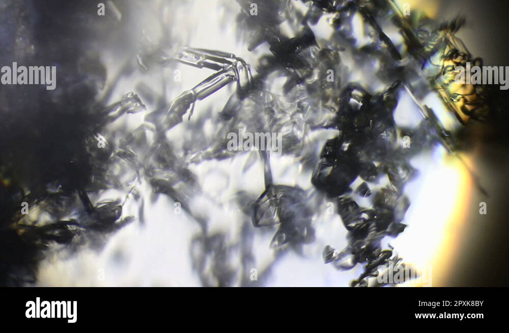 Refraction of light by ice crystals Stock Videos & Footage - HD and 4K ...