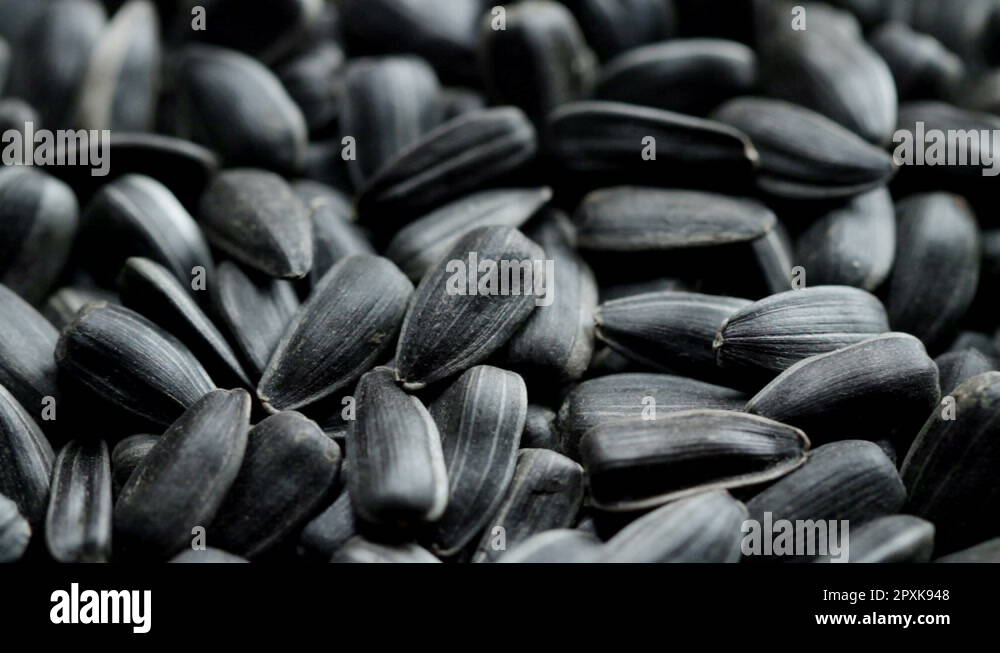 In shell seeds Stock Videos & Footage - HD and 4K Video Clips - Alamy