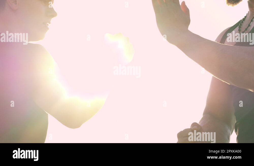 Sun follower Stock Videos & Footage - HD and 4K Video Clips - Alamy