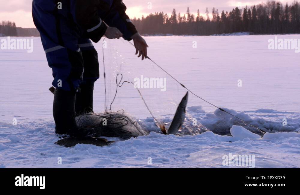 Fishing catch nets Stock Videos & Footage - HD and 4K Video Clips - Alamy