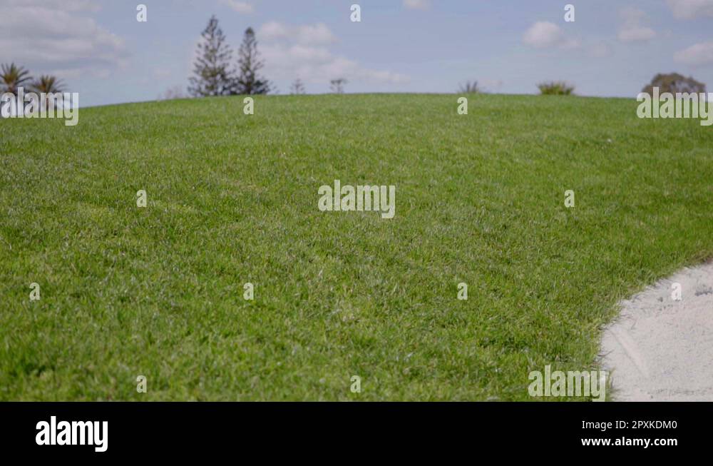 Grass turf section Stock Videos & Footage - HD and 4K Video Clips - Alamy