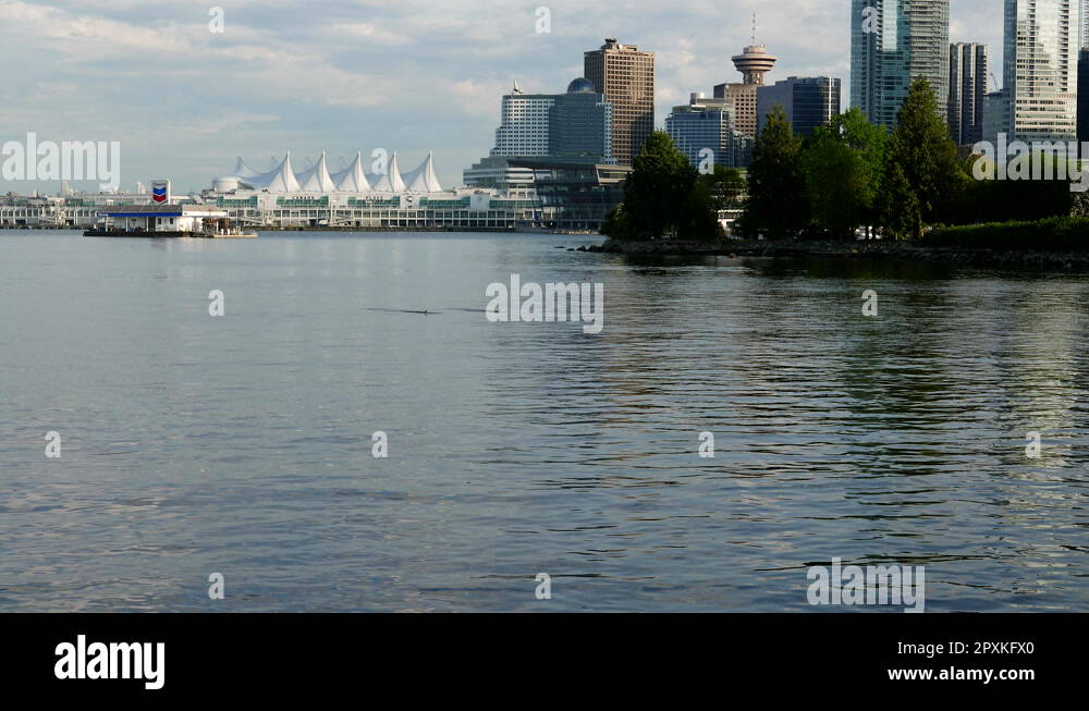 Angel one logo Stock Videos & Footage - HD and 4K Video Clips - Alamy