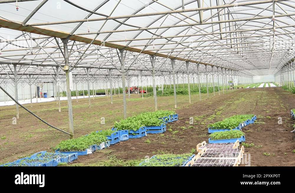 General view Stock Videos & Footage - HD and 4K Video Clips - Alamy