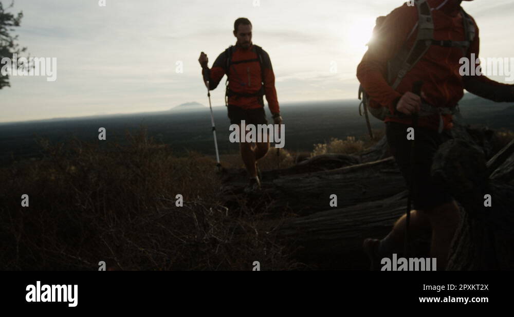 Running past tree Stock Videos & Footage - HD and 4K Video Clips - Alamy