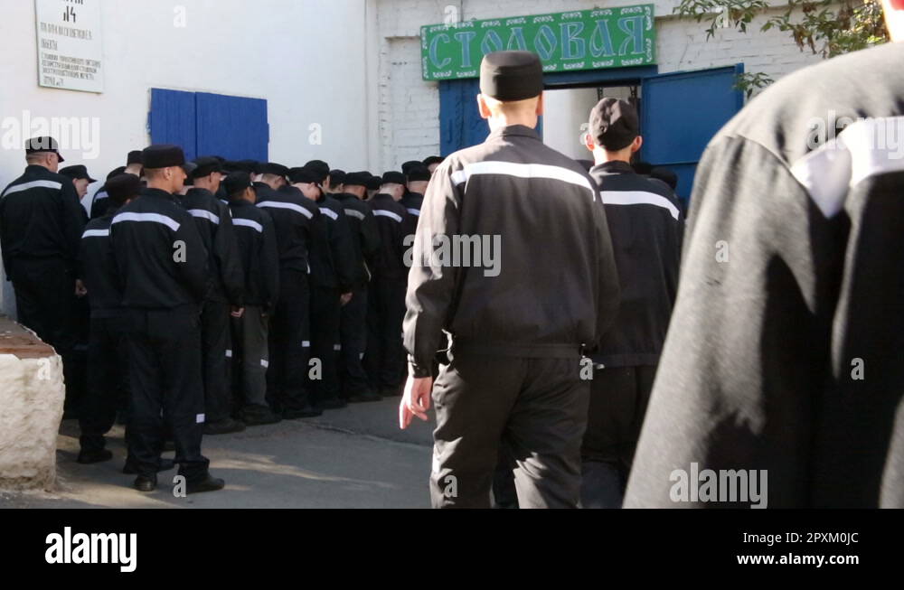 Inspection ranks Stock Videos & Footage - HD and 4K Video Clips - Alamy