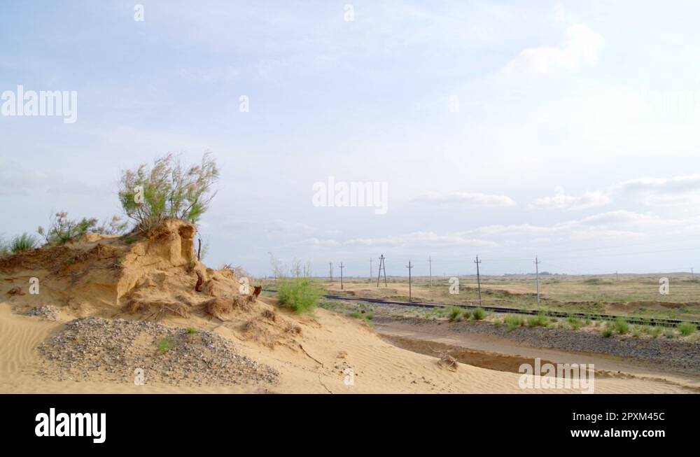 Desert rail Stock Videos & Footage - HD and 4K Video Clips - Alamy