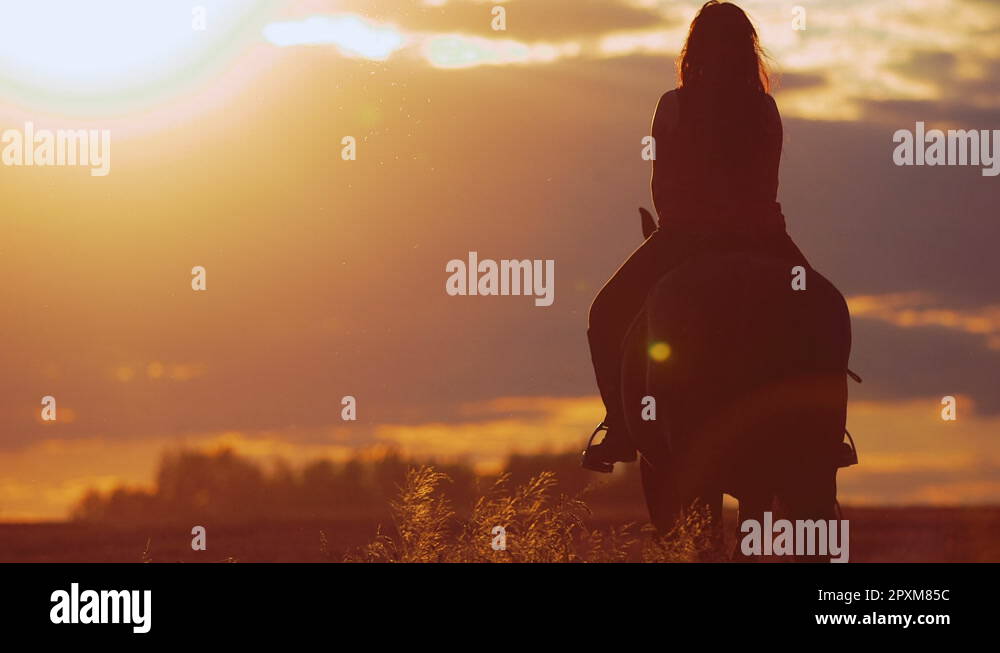 Young woman riding horse sunset Stock Videos & Footage - HD and 4K ...