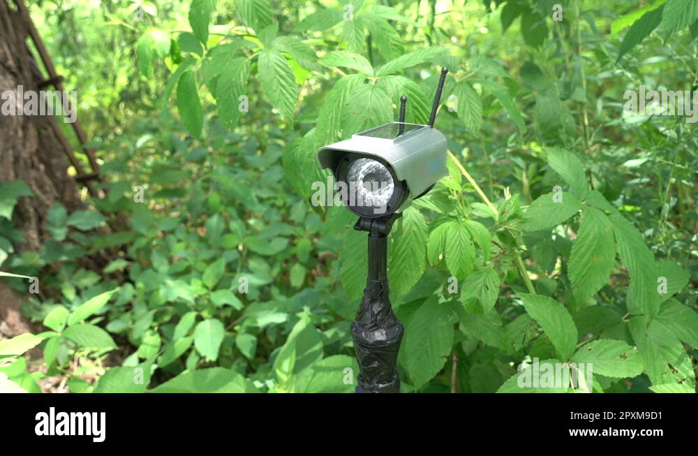 Wildlife monitoring system Stock Videos & Footage - HD and 4K Video ...
