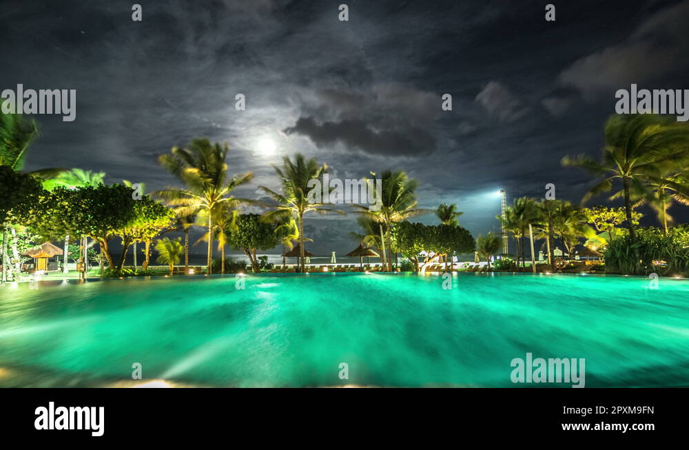 Swimming pool backdrop palm tree Stock Videos & Footage - HD and 4K ...