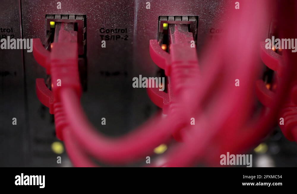 Close up of Cables and wiring links servers in a huge data center ...