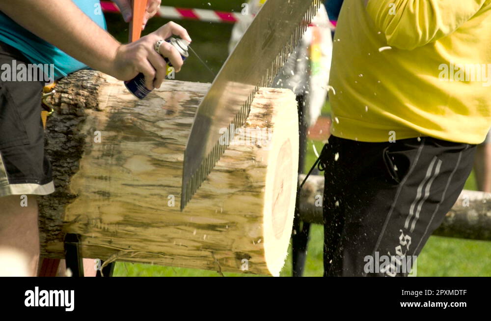 Log cutting Stock Videos & Footage - HD and 4K Video Clips - Alamy