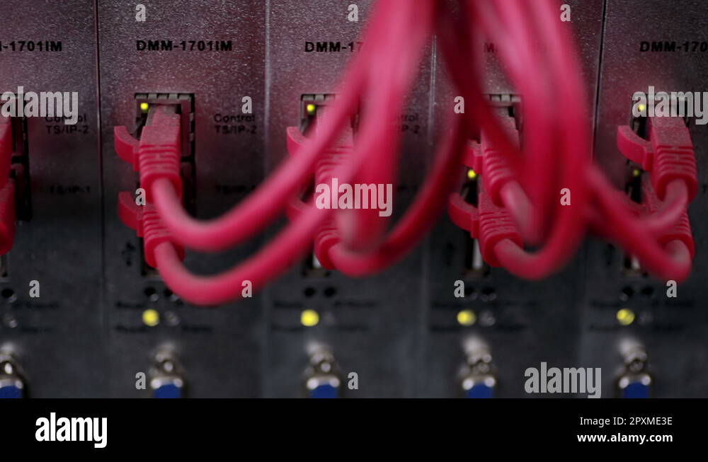 Close up of Cables and wiring links servers in a huge data center ...