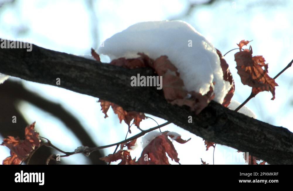 Korean traditional house Han ok village in Seoul, Korea Stock Video ...