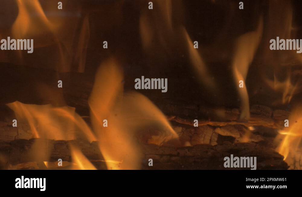 Close-up fire burning in the fireplace with tree logs 4K UltraHD v ...