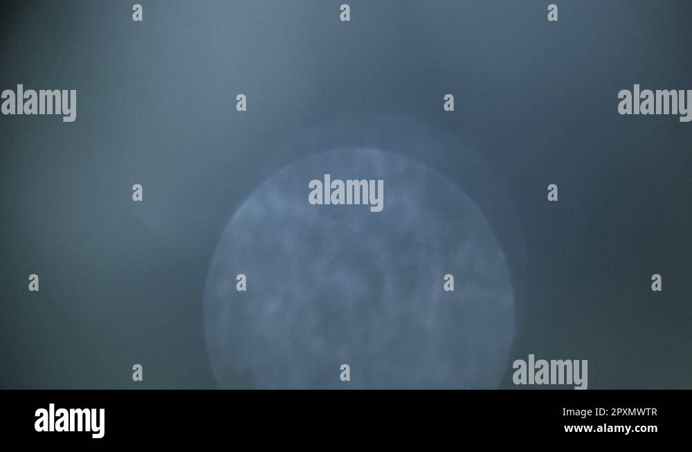 Red Light Leak lens flare. Use "opacity-screen" for overlay your video ...