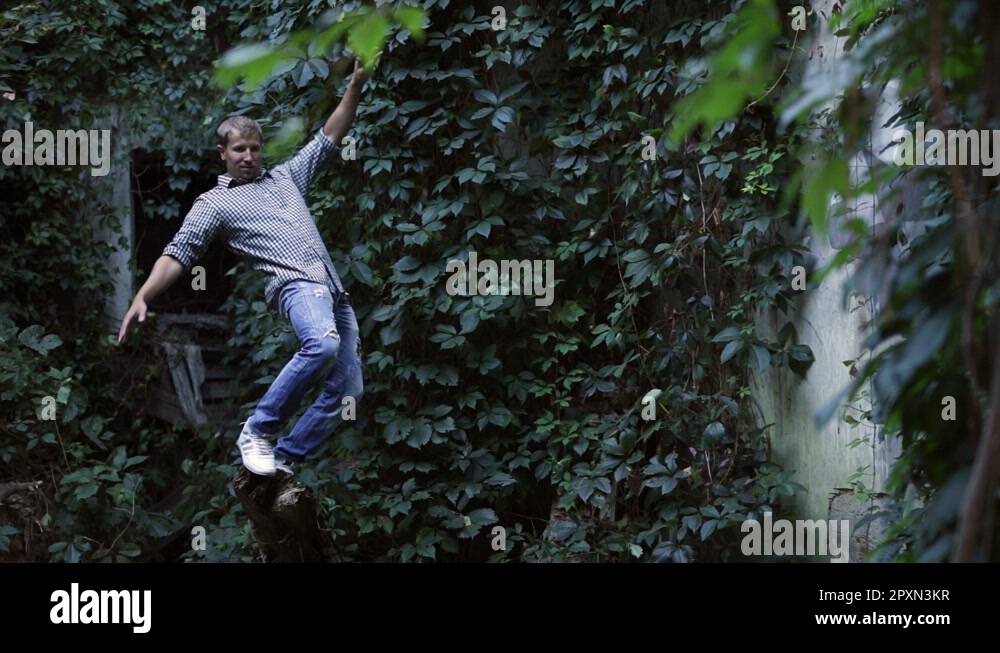 Dead urban tree Stock Videos & Footage - HD and 4K Video Clips - Alamy