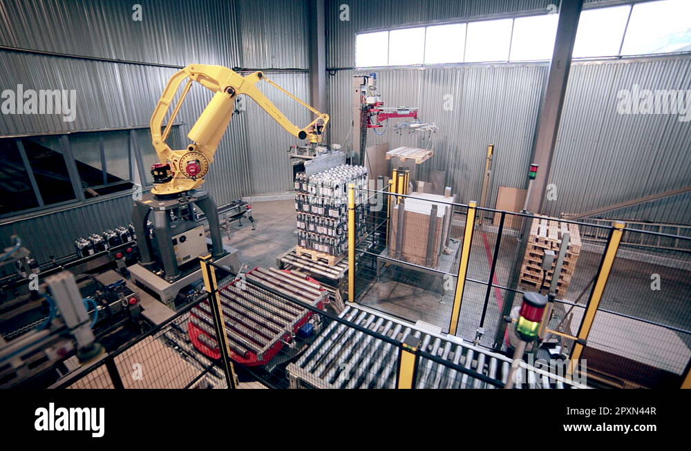 Automated Robotic Arm Loading, packing products. Modern industrial ...