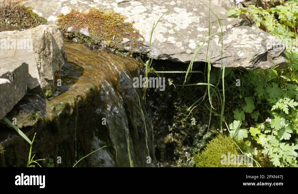 Vegetation protection Stock Videos & Footage - HD and 4K Video Clips ...