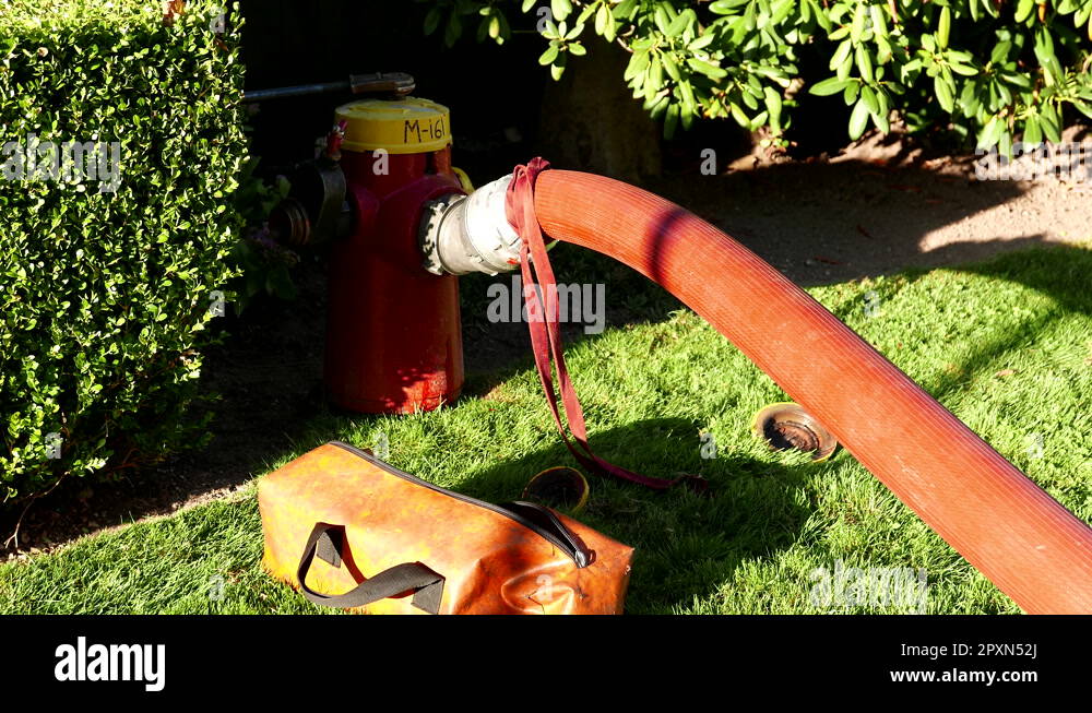 Fire hydrant with a tree Stock Videos & Footage - HD and 4K Video Clips ...