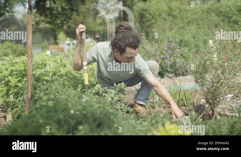 Allotment digging Stock Videos & Footage - HD and 4K Video Clips - Alamy