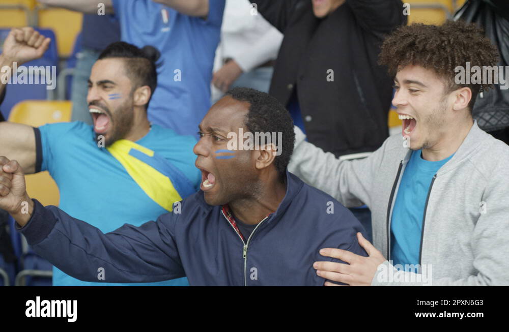 4K Excited fans in sports crowd, celebrating & cheering on their team ...