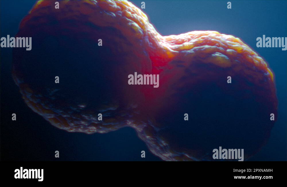 Film cells Stock Videos & Footage - HD and 4K Video Clips - Alamy