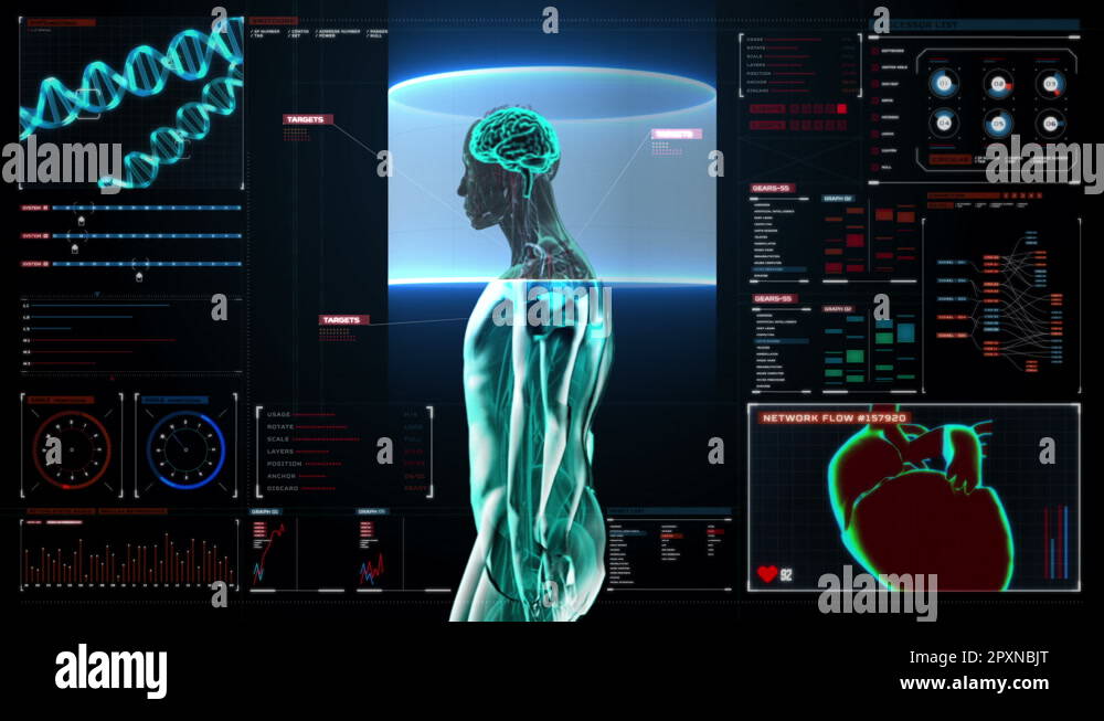 Scanning Brain in male body in digital display dashboard. X-ray view ...